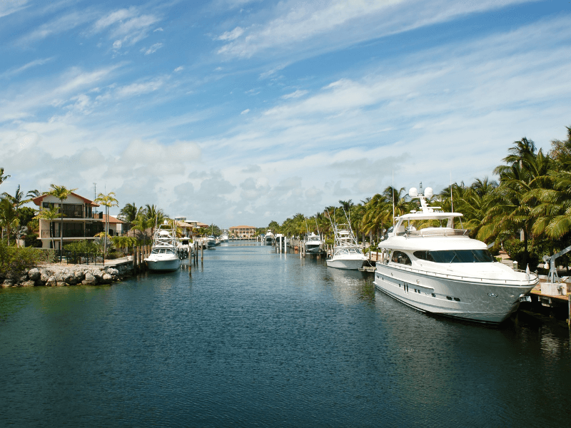 Explore the Top Activities and Excursions in Key Largo | SeaEO Luxury ...